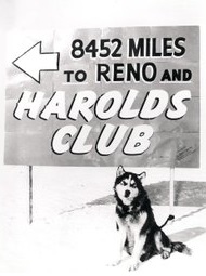 Harold S. Smith – Nevada Gaming Pioneer – Nevada Gaming History
